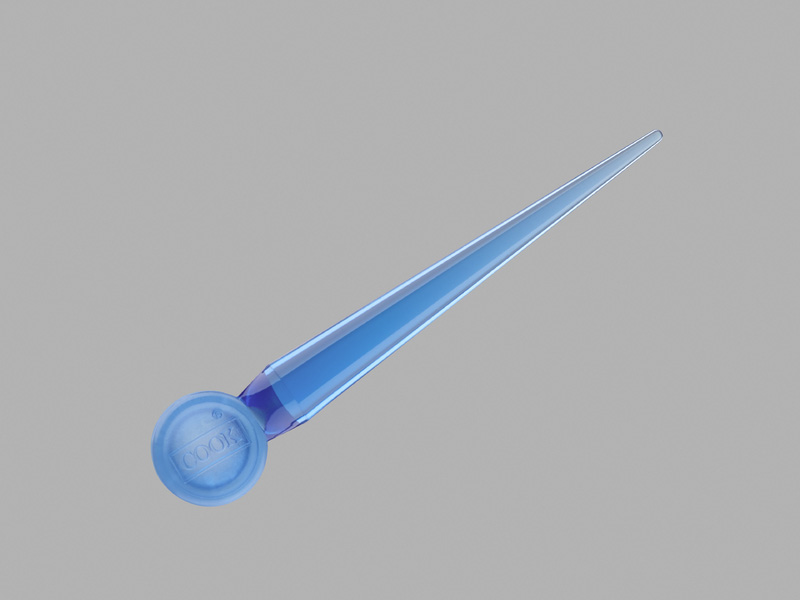 Dilatateur Du Méat Urétral Cook Cathetersplus